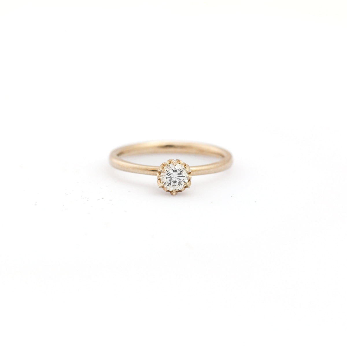 Protea Solitaire Engagement Ring– Minted Jewellery